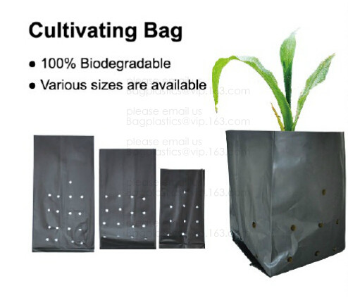 Effective UV Stabilized Black White Plastic Growing Bag / Polyethylene ...